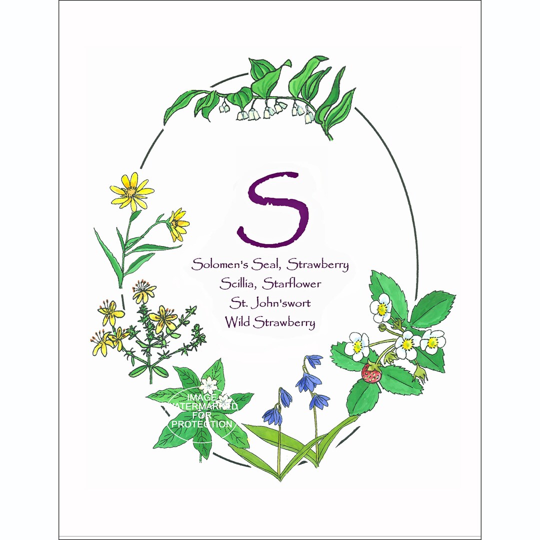 Wildflower Alphabet Print of Letter S by Doris Wilbur-artist, Wall Art ...