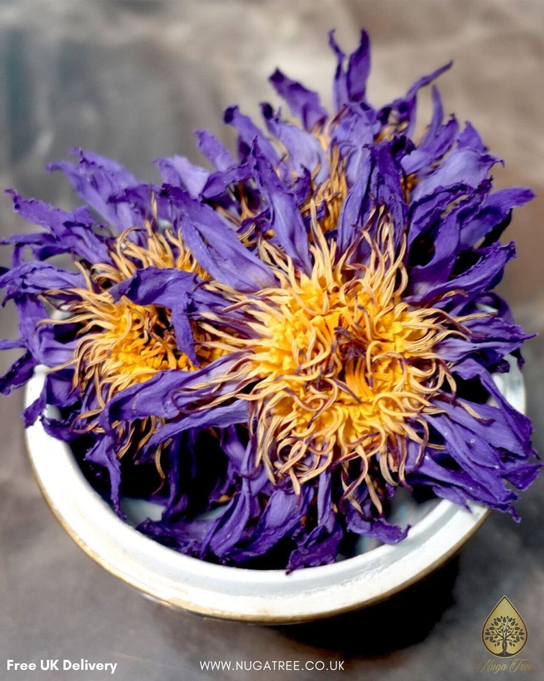 100g / Dried Blue Lotus Flowers / Sri Lankan Blue Lotus Flowers ...