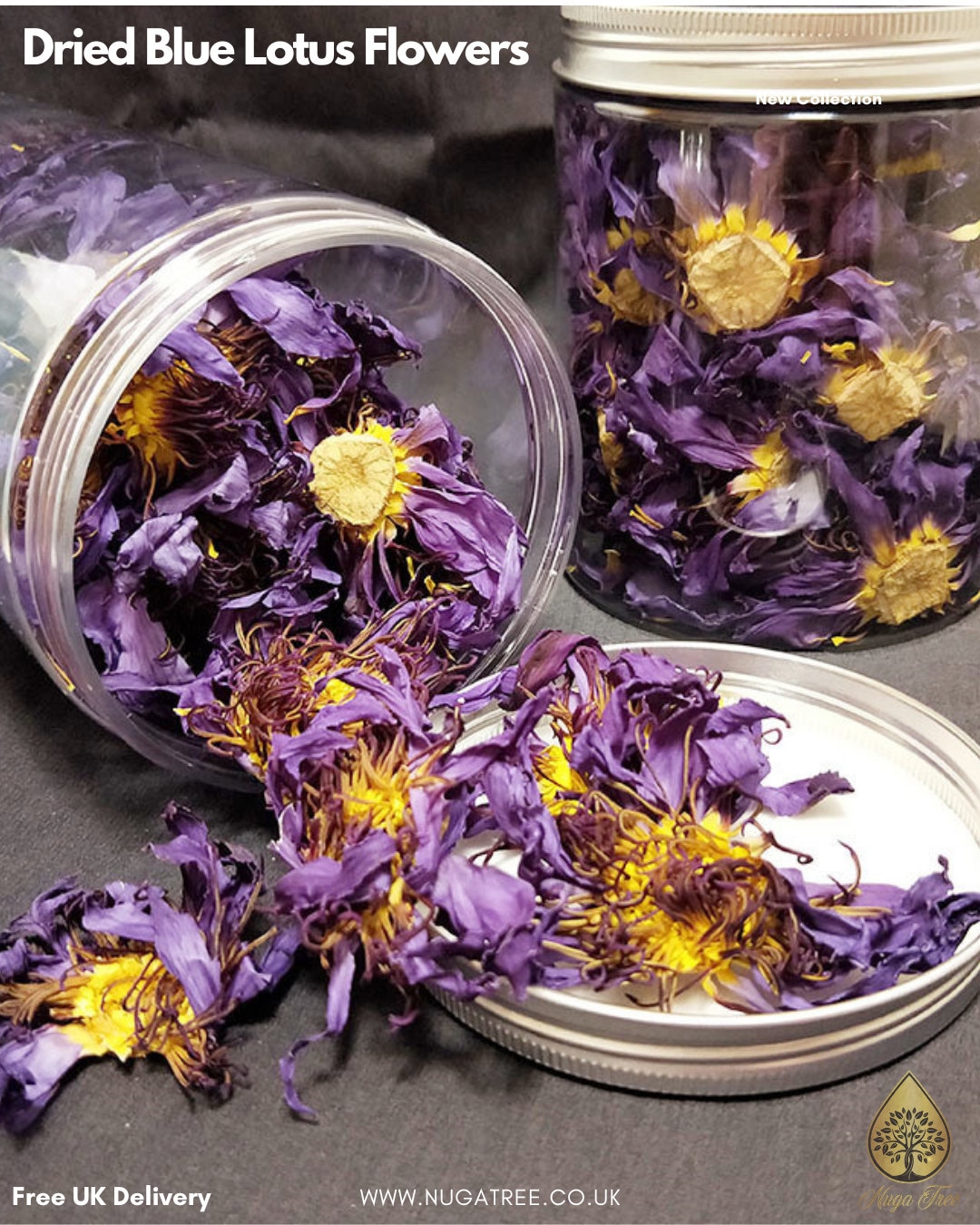 100g / Dried Blue Lotus Flowers / Sri Lankan Blue Lotus Flowers ...