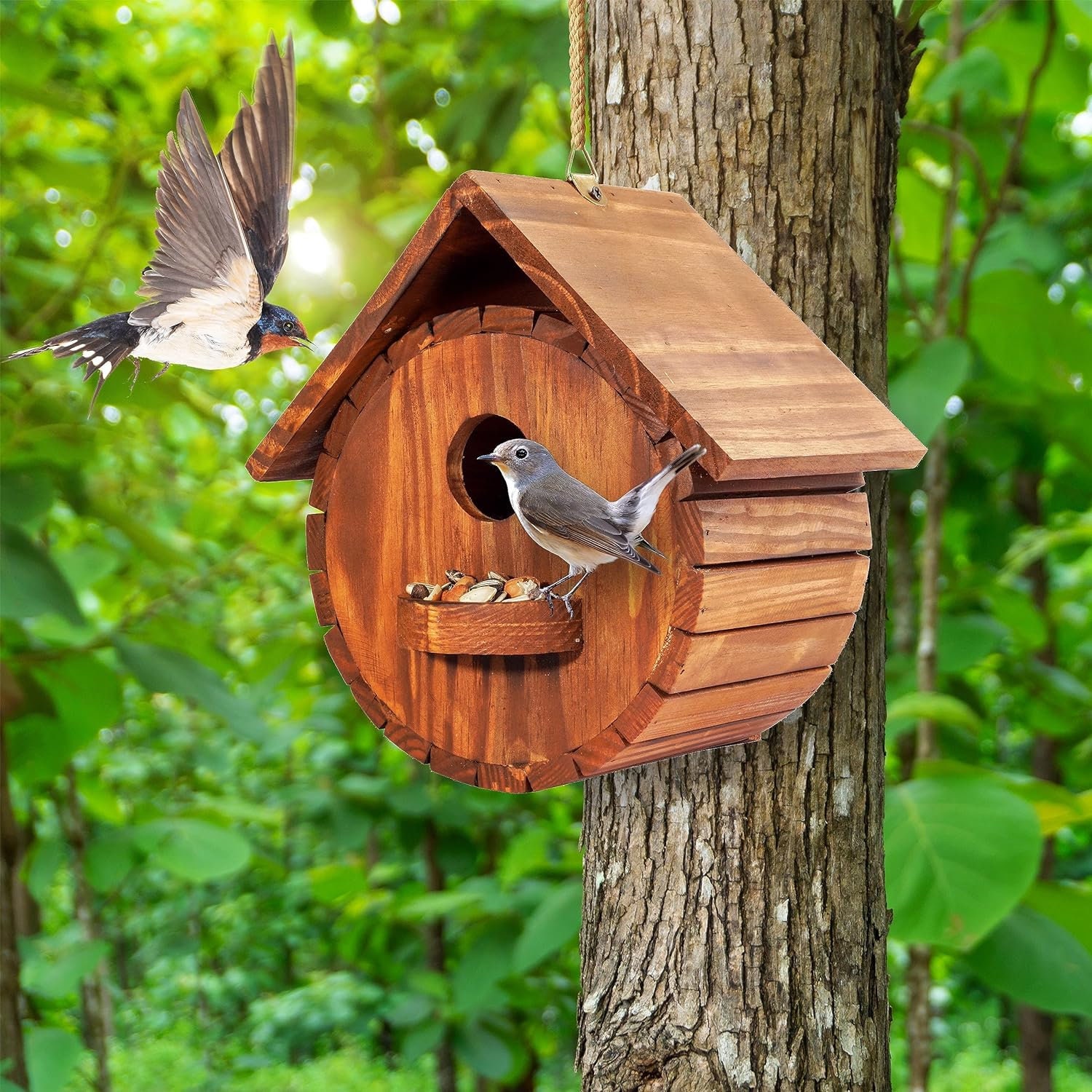 Outdoor Bird House Room for Bird Families Bluebird Finch Cardinals ...