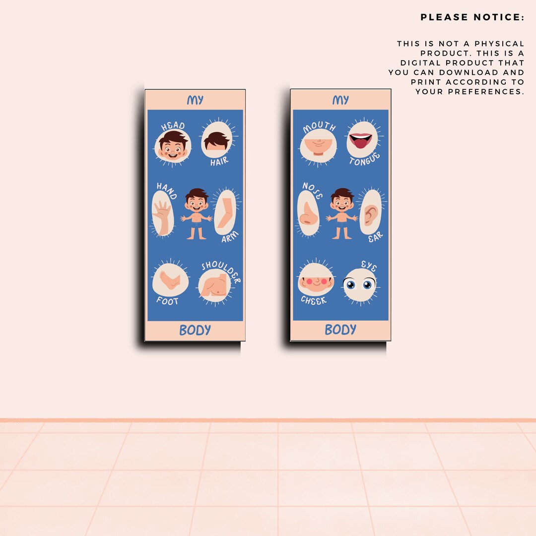 My Body Printable Poster, Digital Wall Art, Nursey Decor, Classroom ...