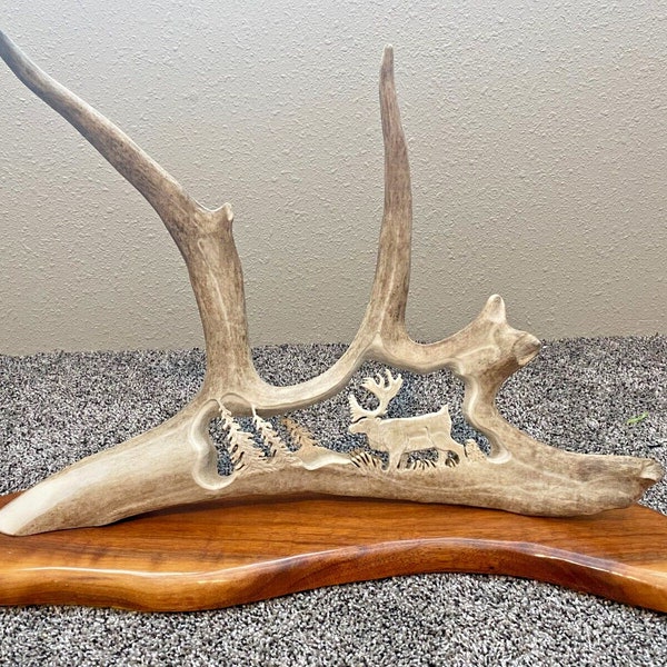Moose Antler Carving - Etsy