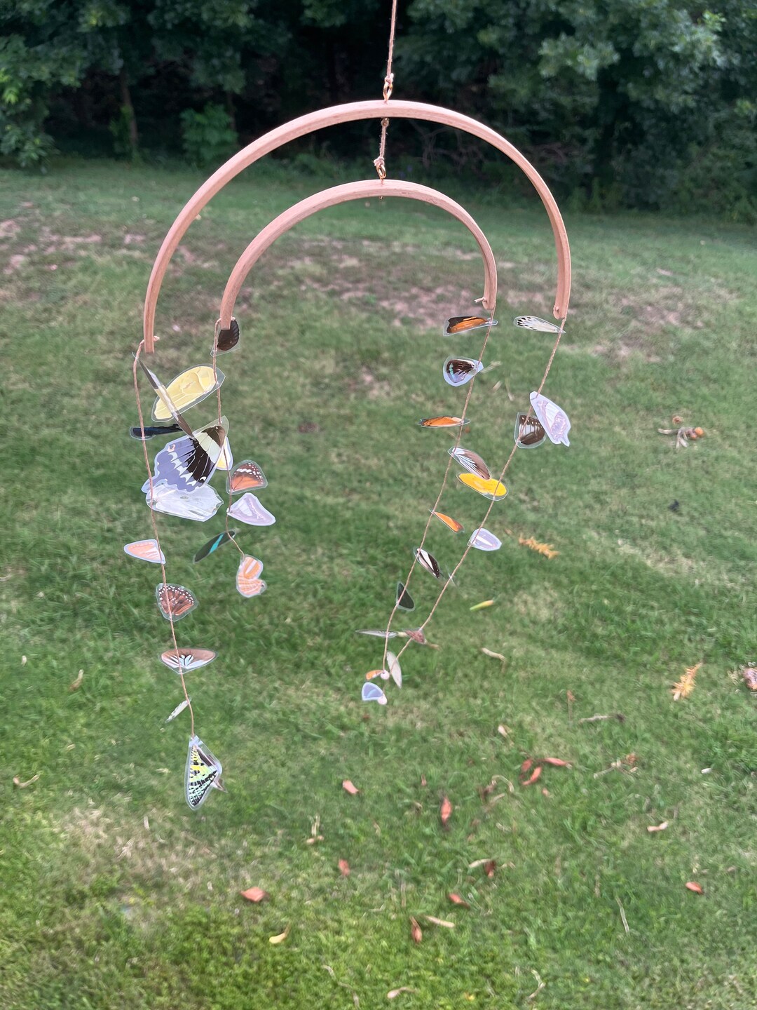 Butterfly & Moth Wing Mobile (customizable) - Etsy