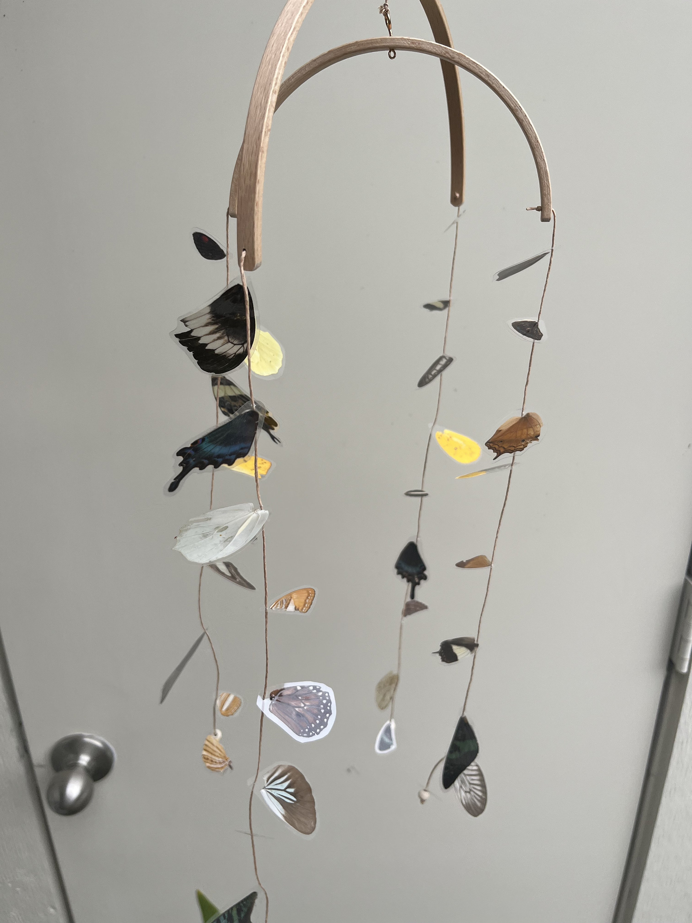 Butterfly & Moth Wing Mobile (customizable) - Etsy