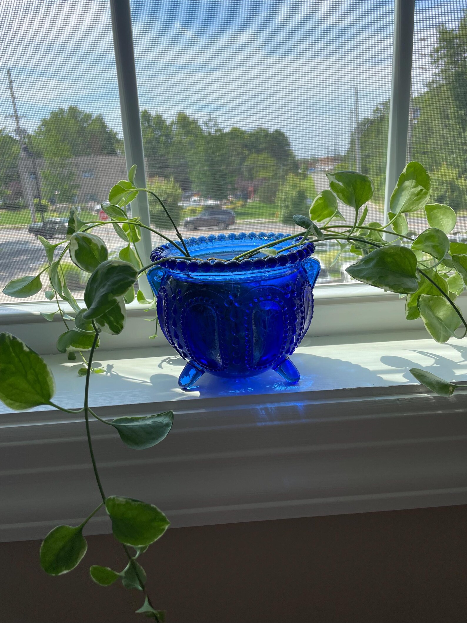 Vintage Footed Blue Glass Planter With Striking Stunning Dark Blue ...