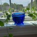 Vintage Footed Blue Glass Planter With Striking Stunning Dark Blue ...