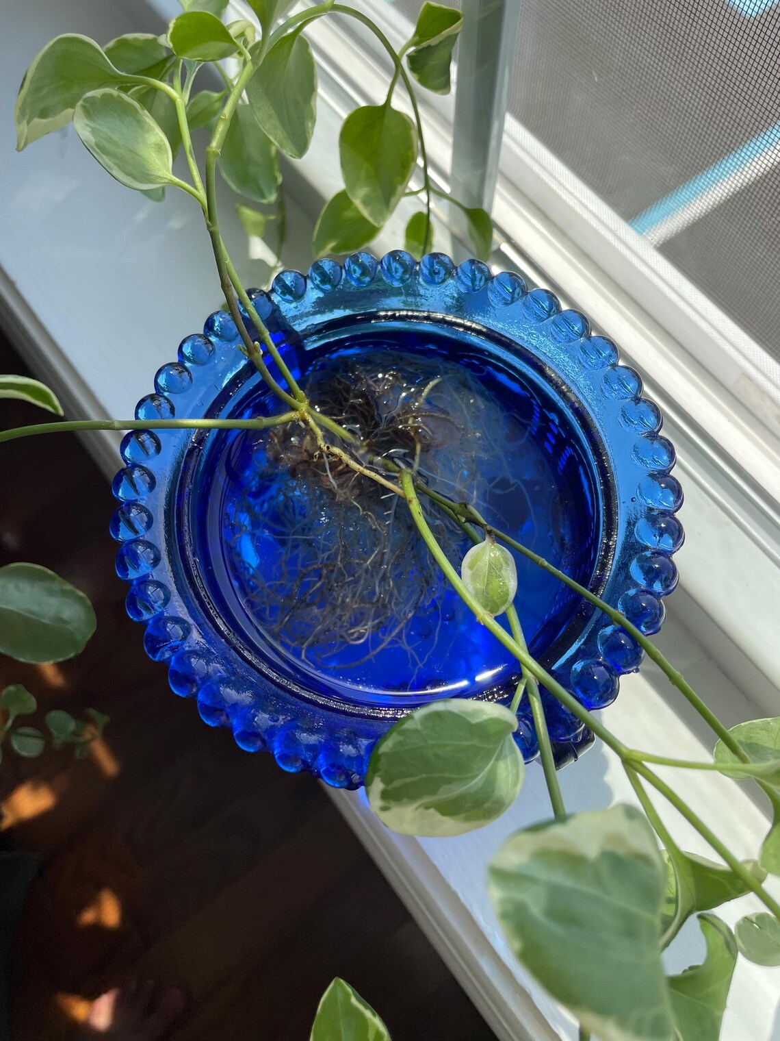 Vintage Footed Blue Glass Planter With Striking Stunning Dark Blue ...