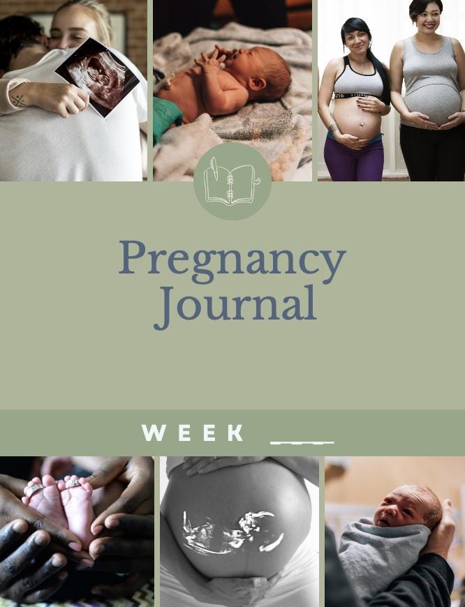 Printable 4 Week Pregnancy Journal - Etsy