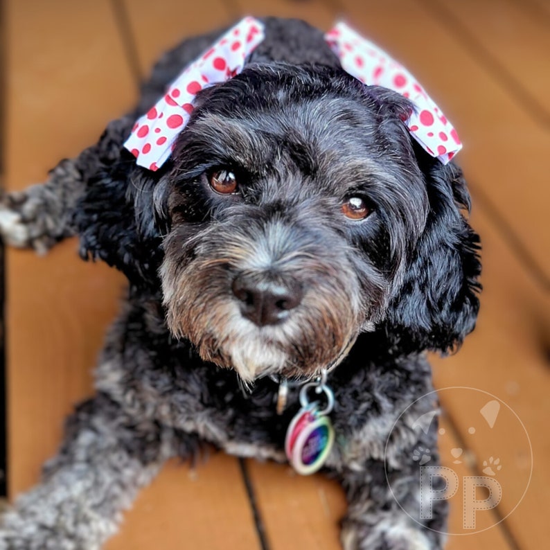 Dog Bow Headband, Polka Dot Dog Bows, Dog Hair Bows, Bows for Dogs ...