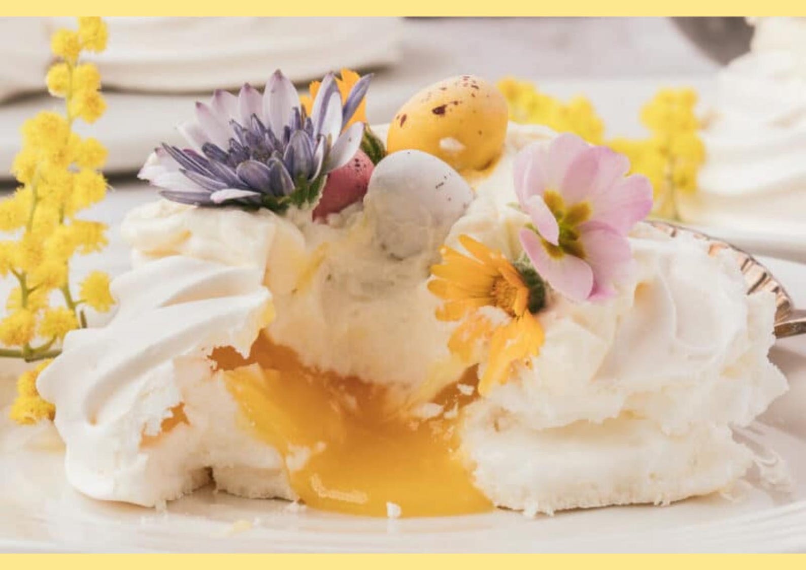 Meringue Nests - Etsy