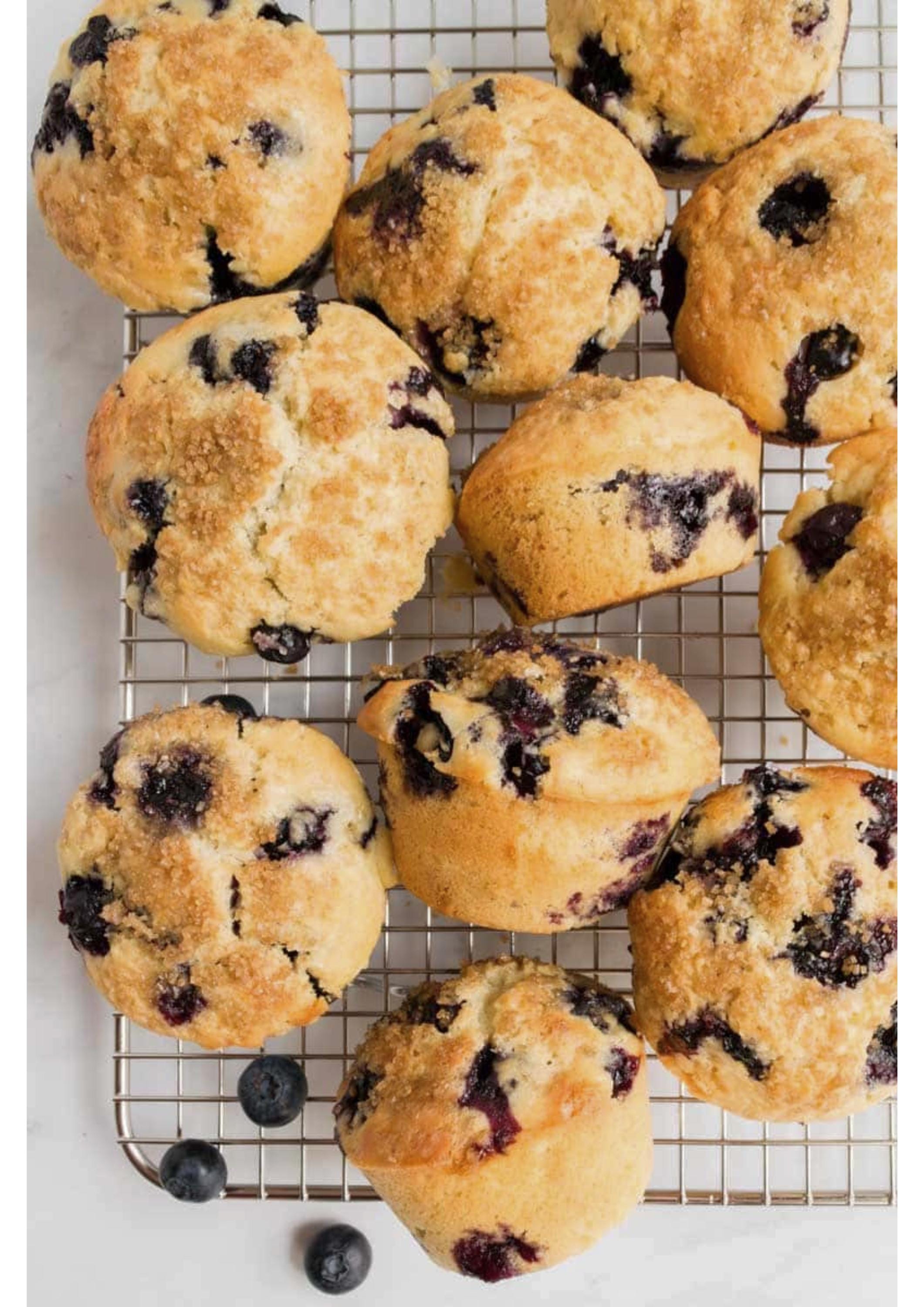 Old-fashioned Blueberry Muffins - Etsy