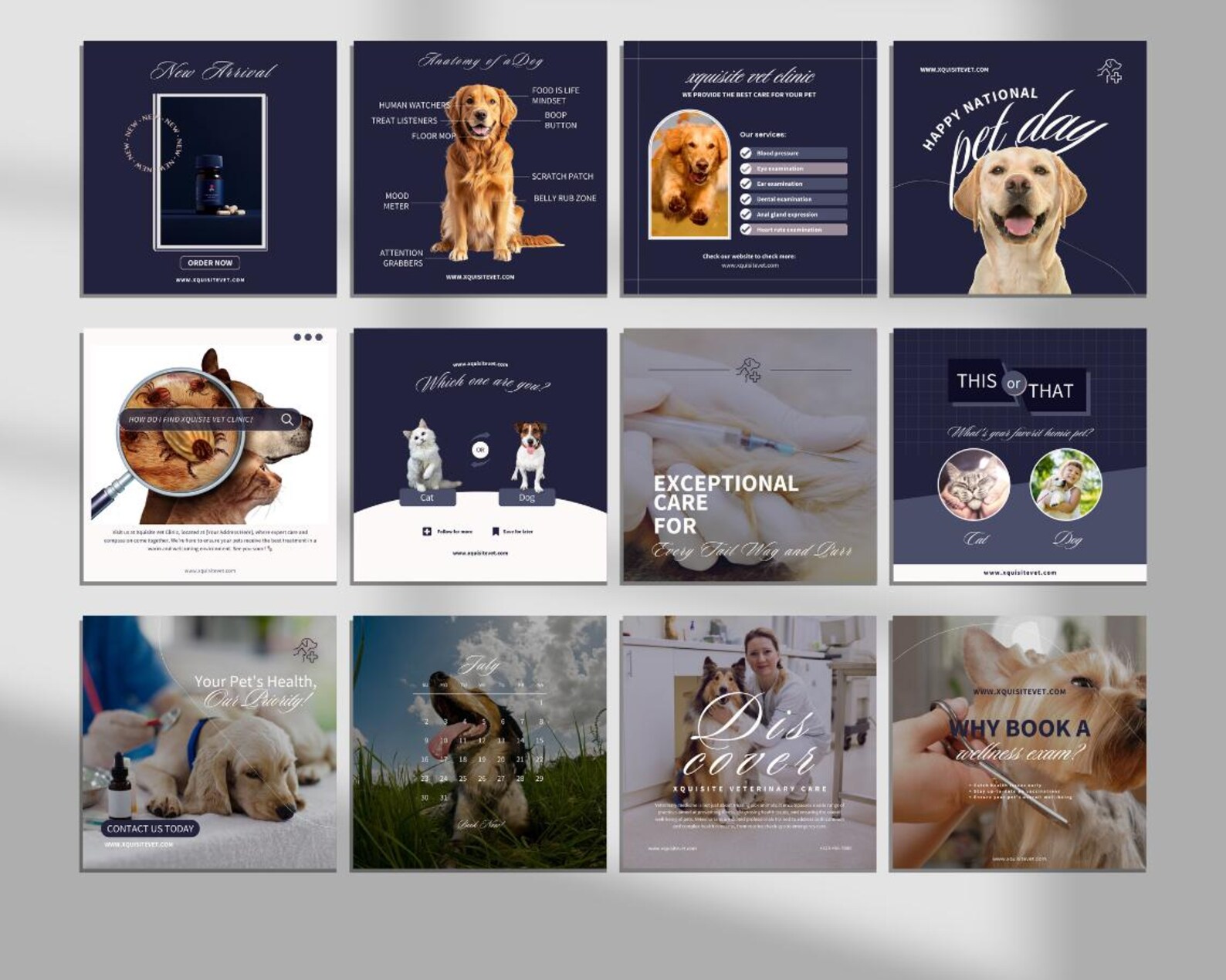 Pet Hospital IG Templates, Vet Clinic Social Media, Veterinary IG ...