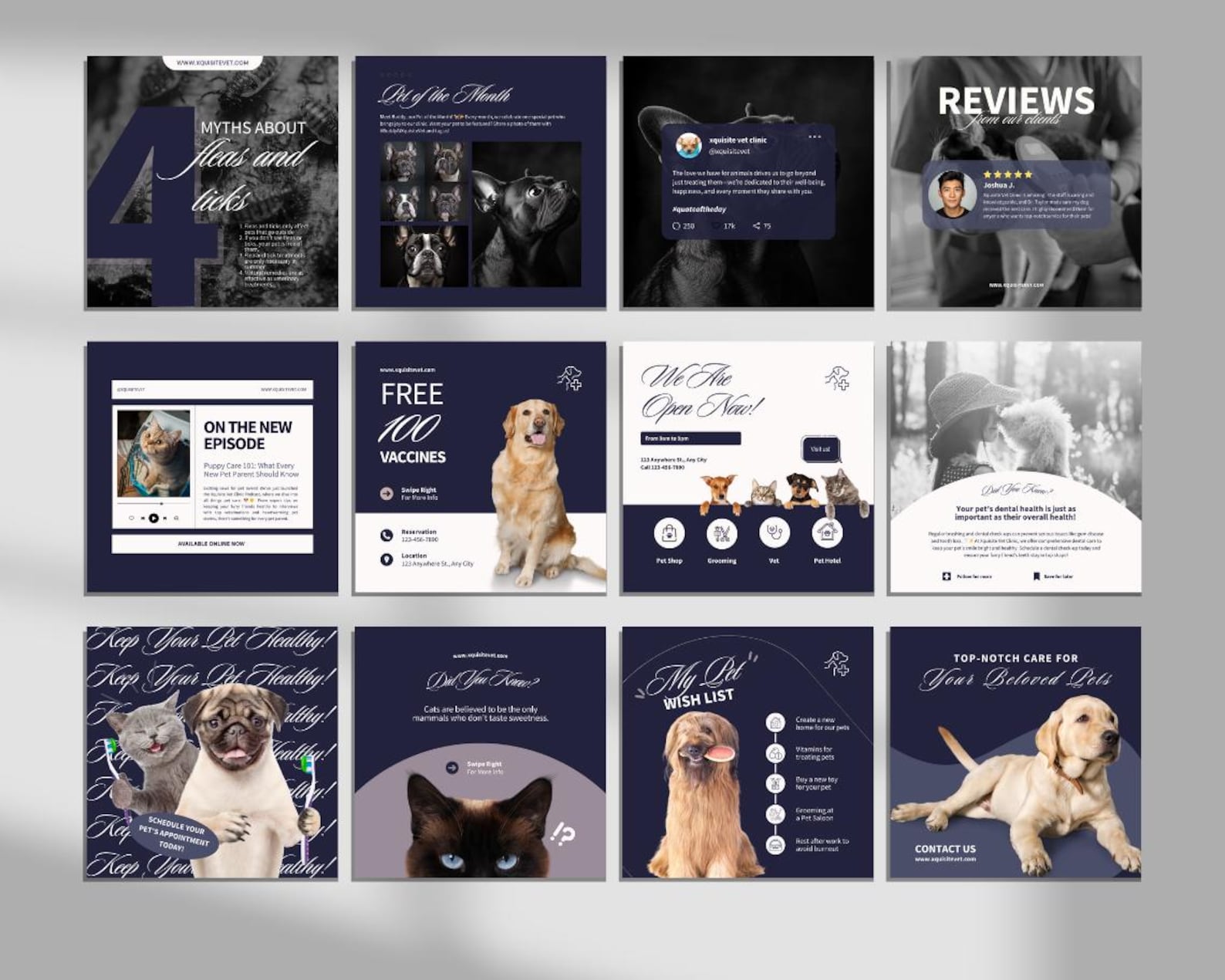 Pet Hospital IG Templates, Vet Clinic Social Media, Veterinary IG ...
