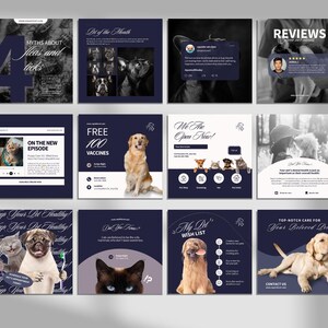 Pet Hospital IG Templates, Vet Clinic Social Media, Veterinary IG ...