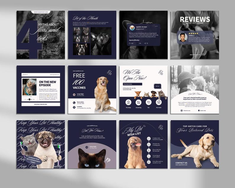 Pet Hospital IG Templates, Vet Clinic Social Media, Veterinary IG ...