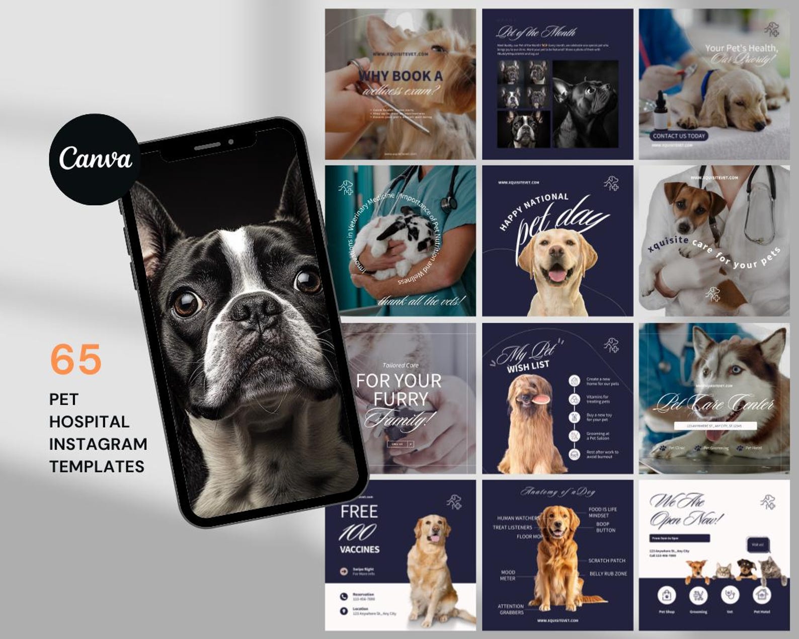 Pet Hospital IG Templates, Vet Clinic Social Media, Veterinary IG ...