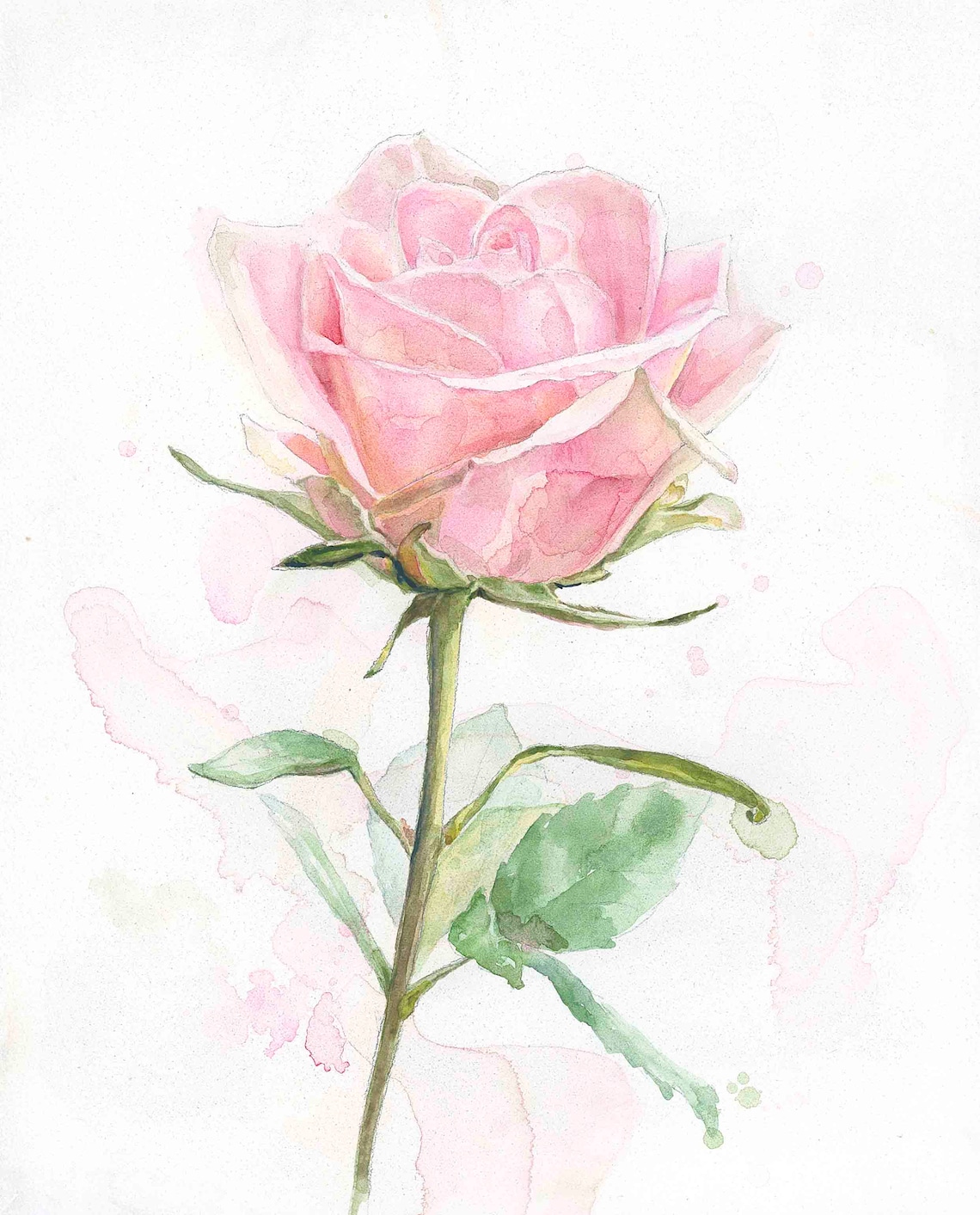 ORIGINAL Pink Rose Watercolor Painting on Board 8x10 - Etsy