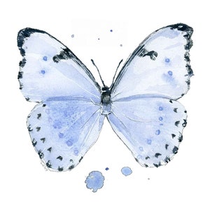 Blue Butterfly Print #1 for Baby and Toddler Girls Rooms, Butterfly ...