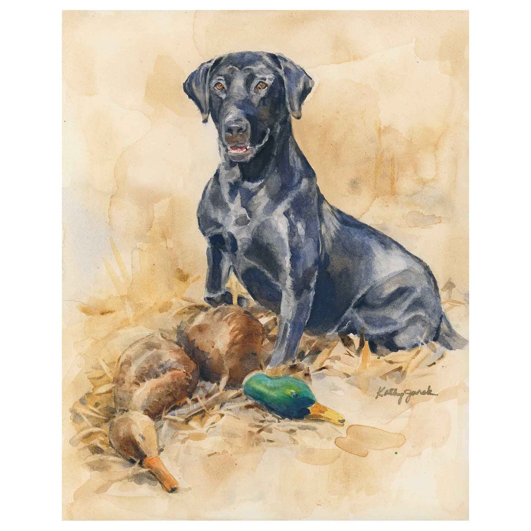Black Labrador Retriever Art Print, Hunting Dog With Mallard Ducks Wall ...