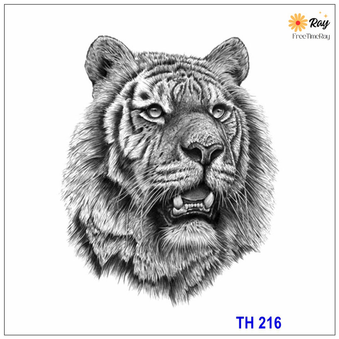 Large Roaring Tiger Carnivore Body Tattoos Cat Species Large Mammal ...