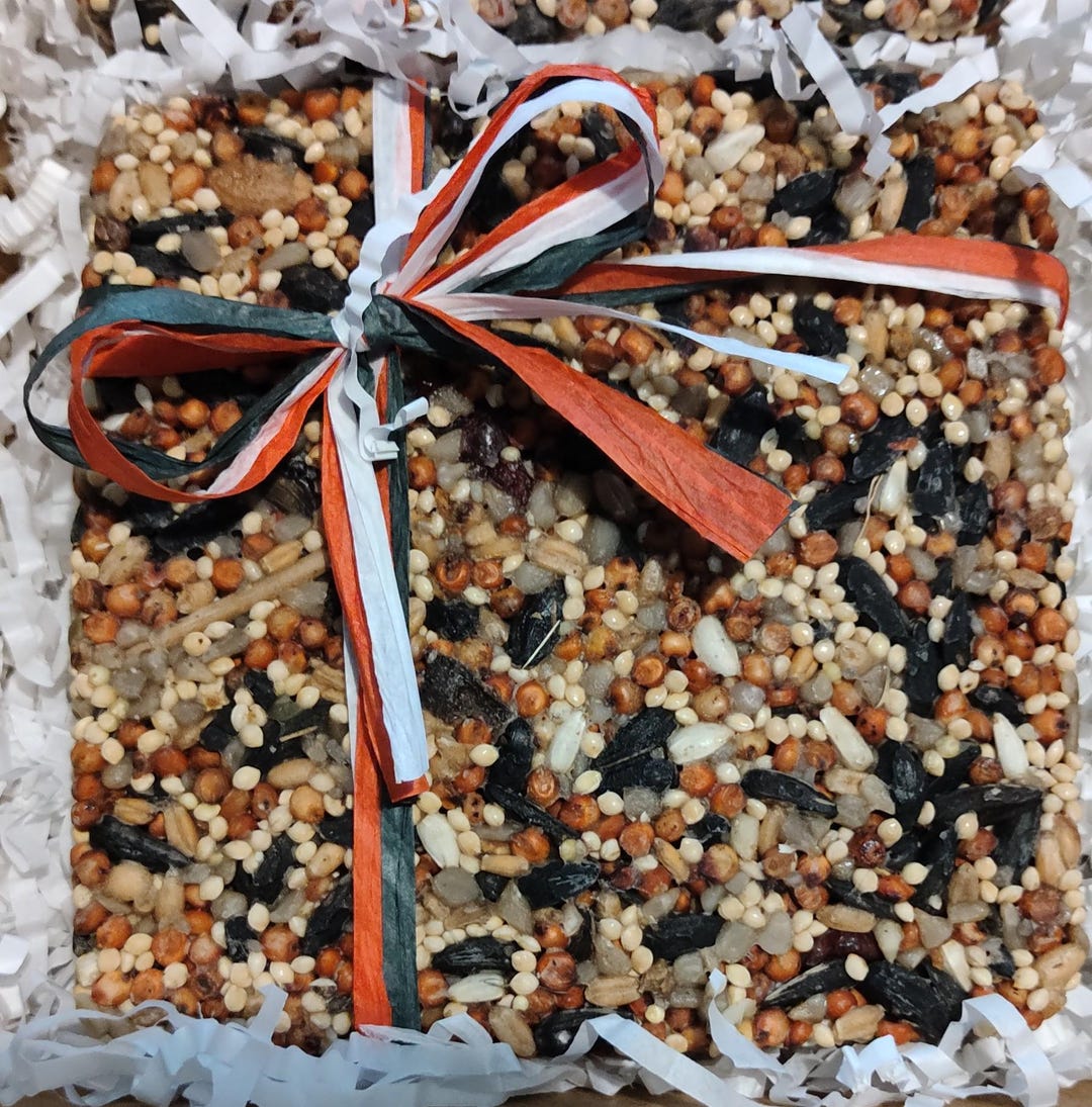 Birdseed Treat Cake Handmade Gourmet Wild Bird Seed Christmas Gift Bird ...