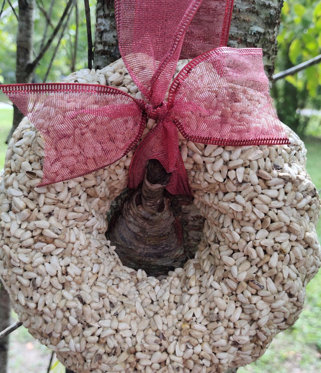 Safflower Christmas Birdseed Wreath 1 Pound!! White Bird Seed Handmade ...