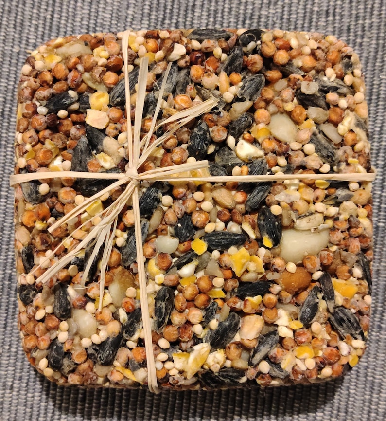 Birdseed Treat Cake Homemade Gourmet Wild Bird Seed Holiday Bird Lovers ...