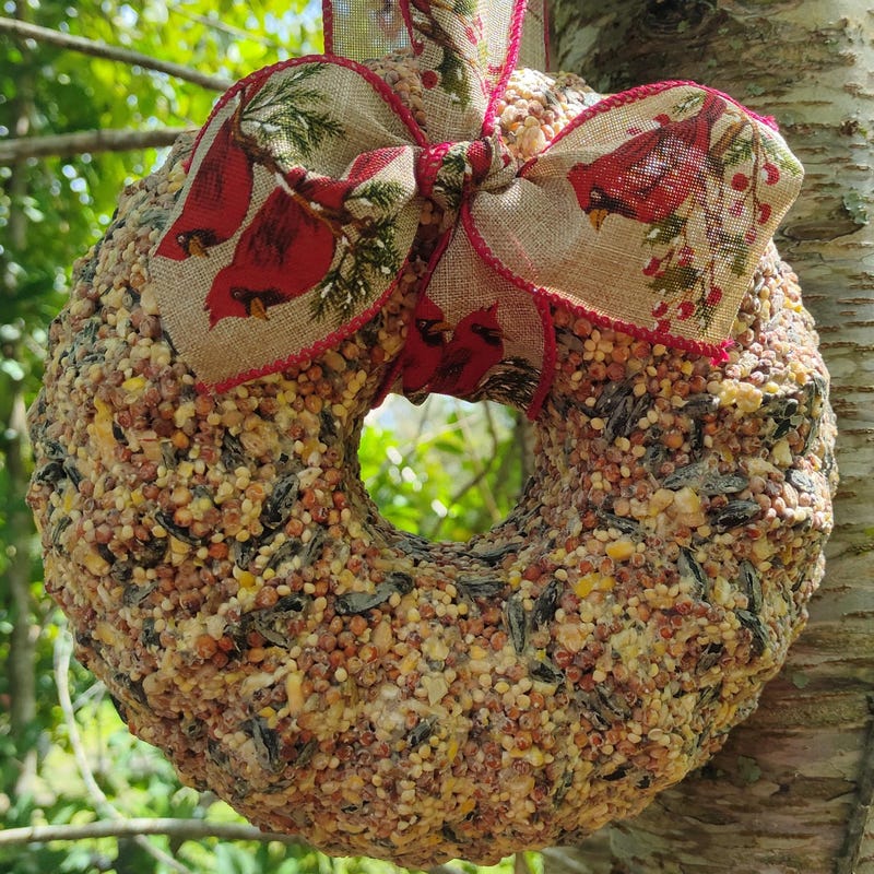 Birds Seed Ornaments - Etsy