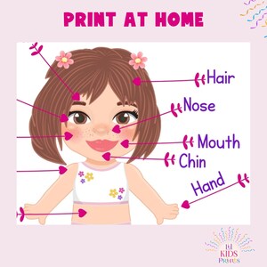 Digital Printing of Human Body Parts. Scientific, Educational Teaching ...