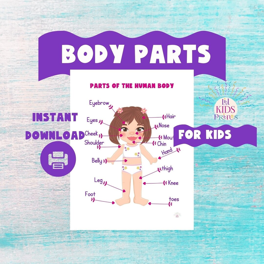 Digital Printing of Human Body Parts. Scientific, Educational Teaching ...