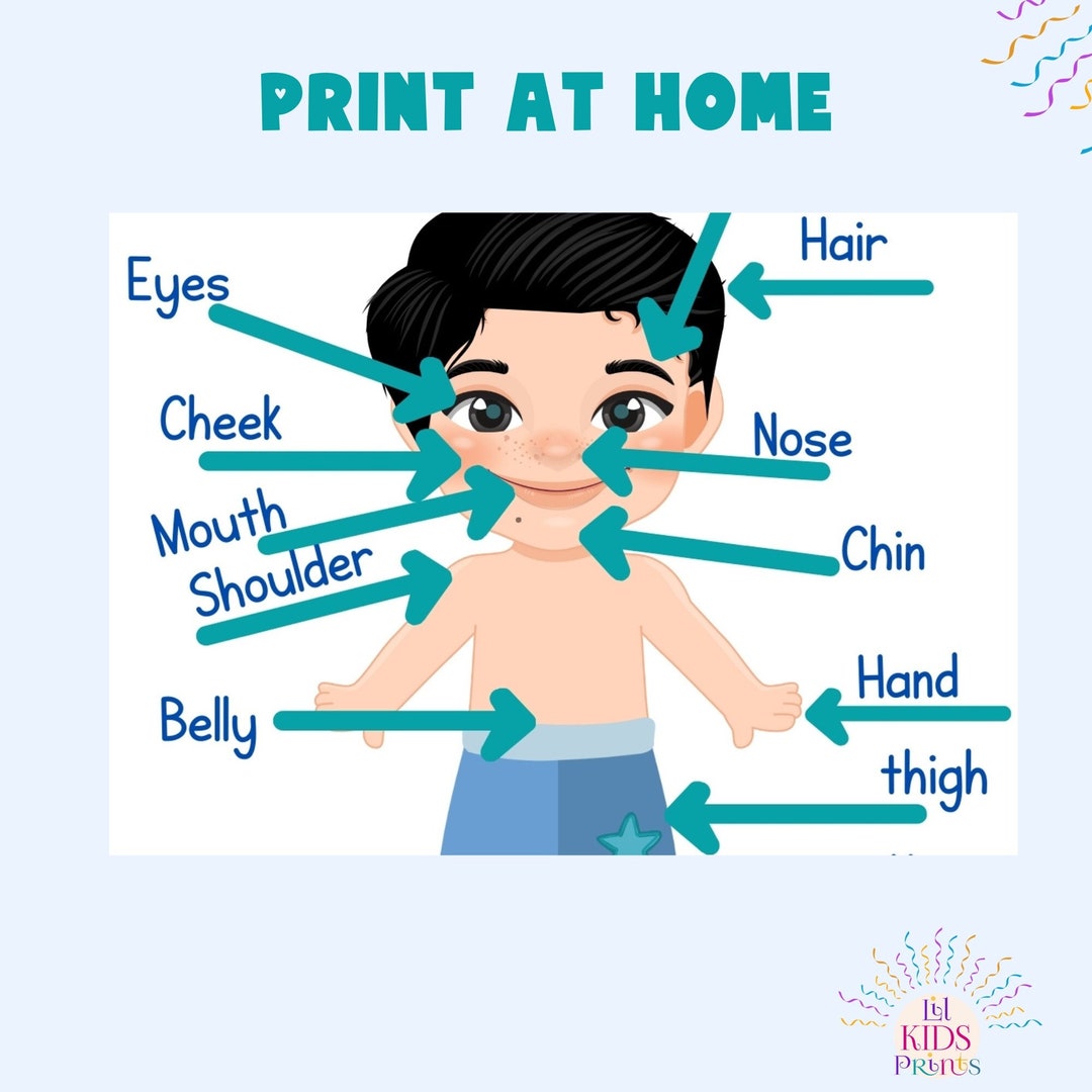 Digital Educational Image. Parts of the Human Body. Boy Anatomy ...