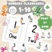 Learn to Count Numbers 1 to 10 With Digital Dinosaur Flash Cards ...
