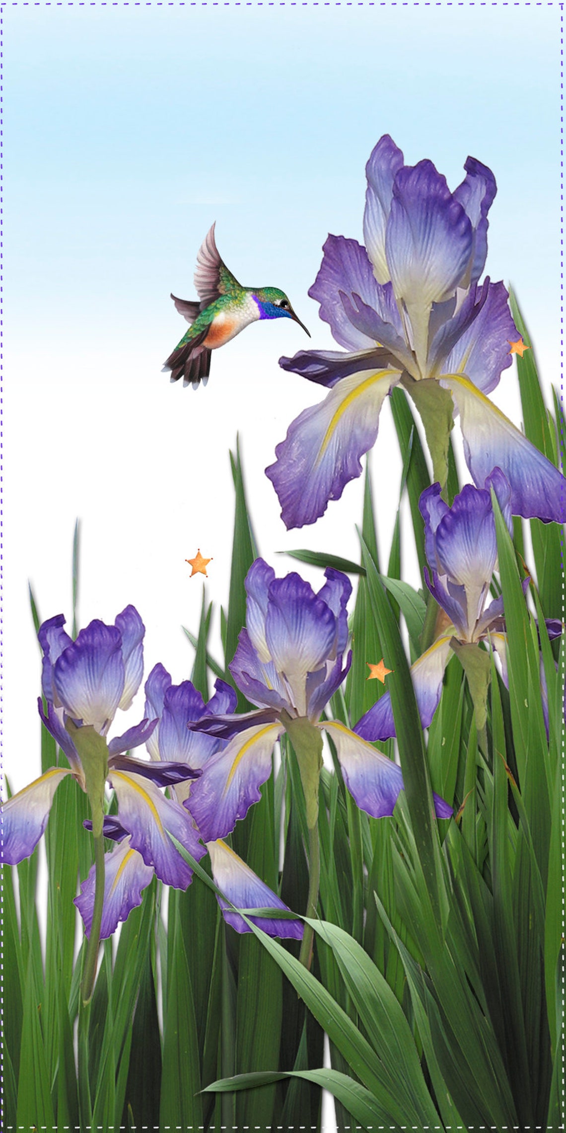 Iris and Hummingbird 6" Fabric Art Panel and More-ap65 - Etsy