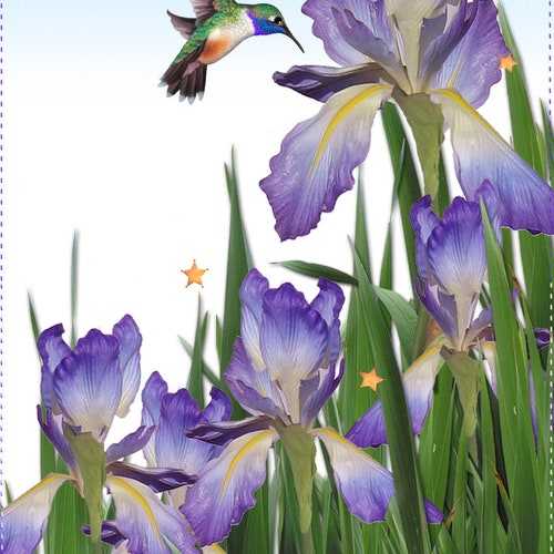 Iris and Hummingbird 6 Fabric Art Panel and More - Etsy