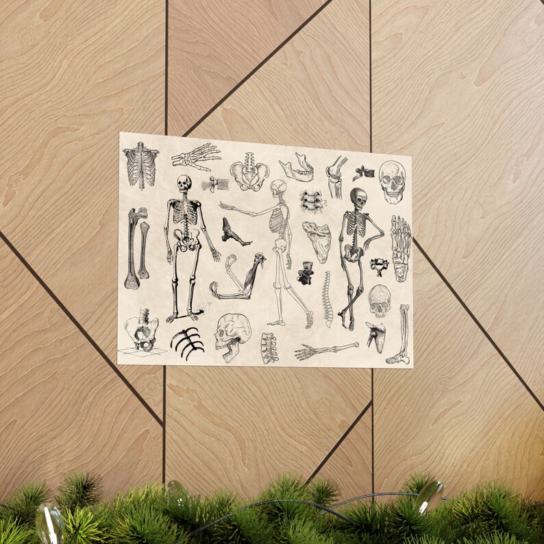 Vintage Skeleton Posters. Medical Graduation Gift. Office Decor ...