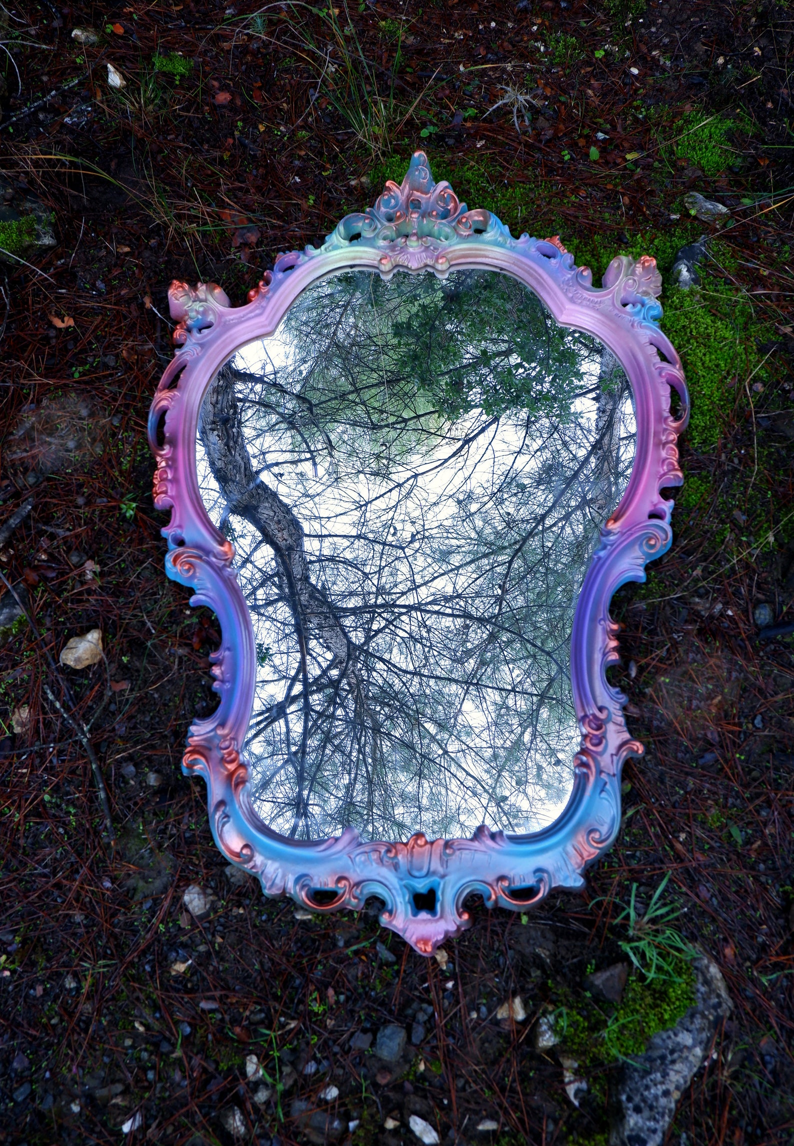 Fairy Mirror Rococo Baroque Ornate Rainbow Mirror Marie Antoinette Hand ...