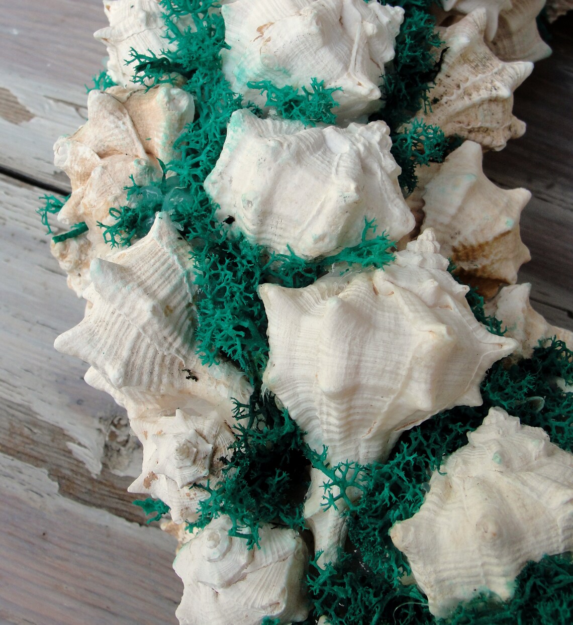 Seashell Wreath Coastal Beach Decor Shell Decoration Natural | Etsy
