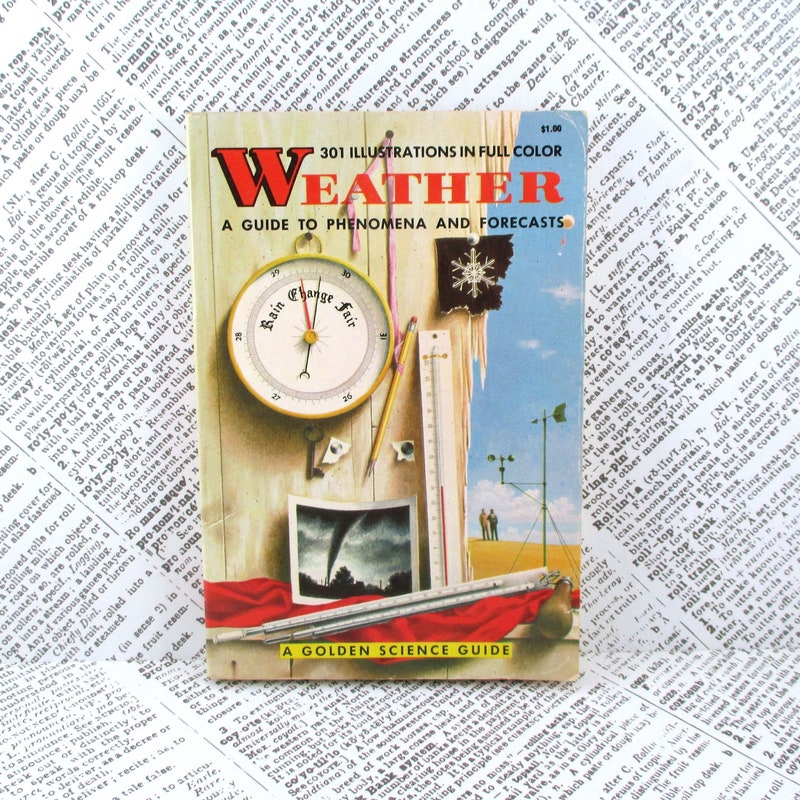 1960s Golden Book - Etsy