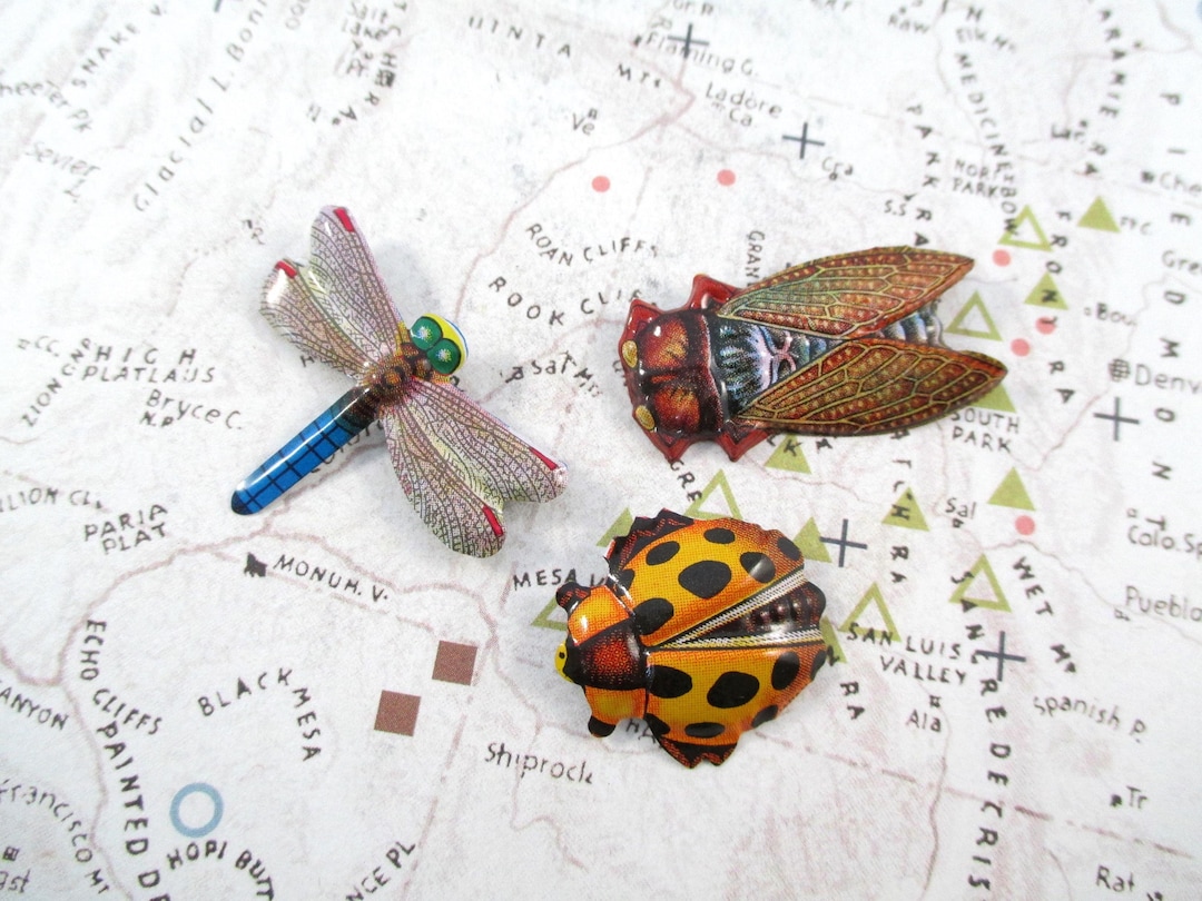 Three Little Tin Litho Insect / Bug Pins A - Etsy