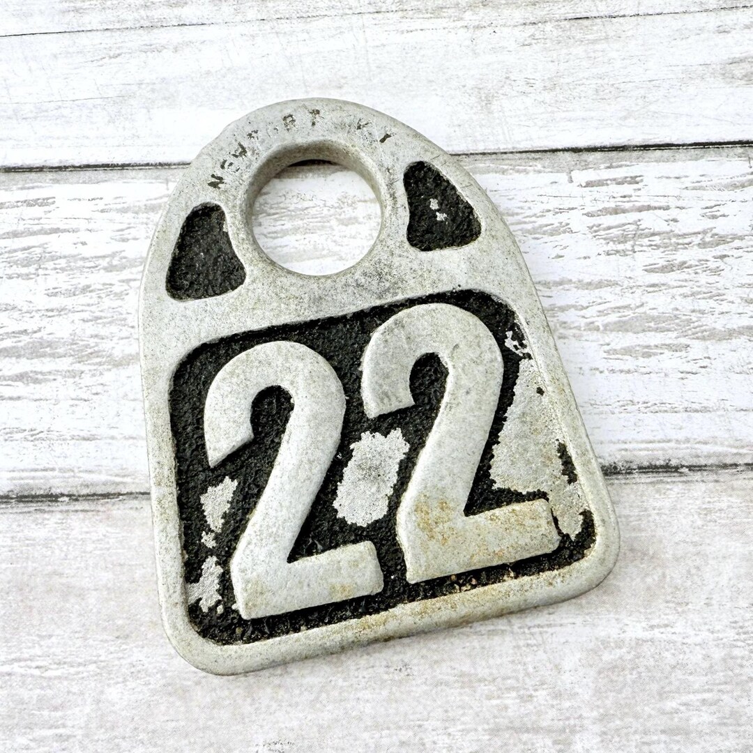 Large Vintage Aluminum Hasco Cow Tag Number 22 - Etsy