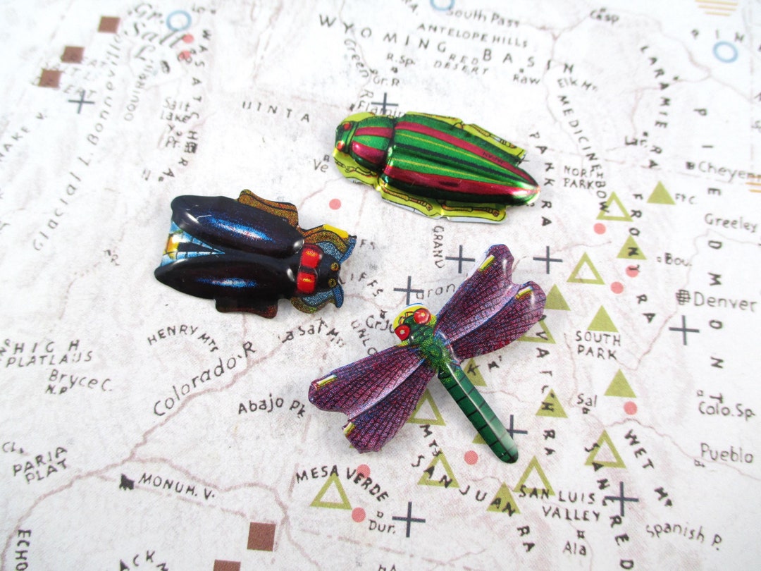 Three Little Tin Litho Insect / Bug Pins (D) - Etsy