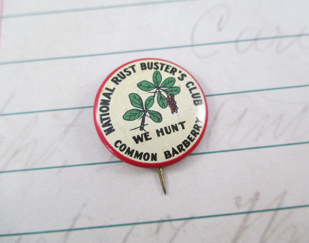 Vintage Pin Back National Rust Busters Club We Hunt Common Barberry - Etsy