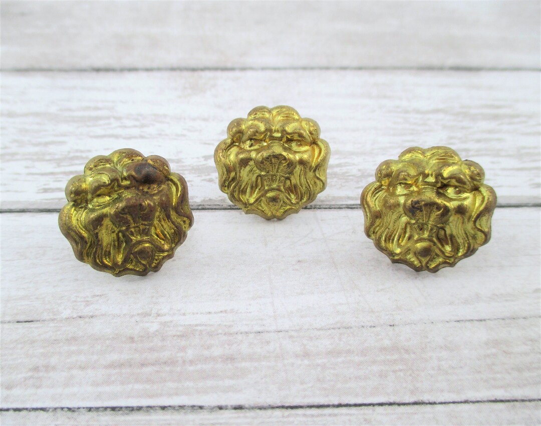 Three Vintage French Brass Lion's Head Upholstery Tack / Nails - Etsy