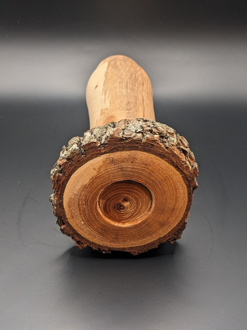 Spalted Pecan Bud Twig Vase - Etsy
