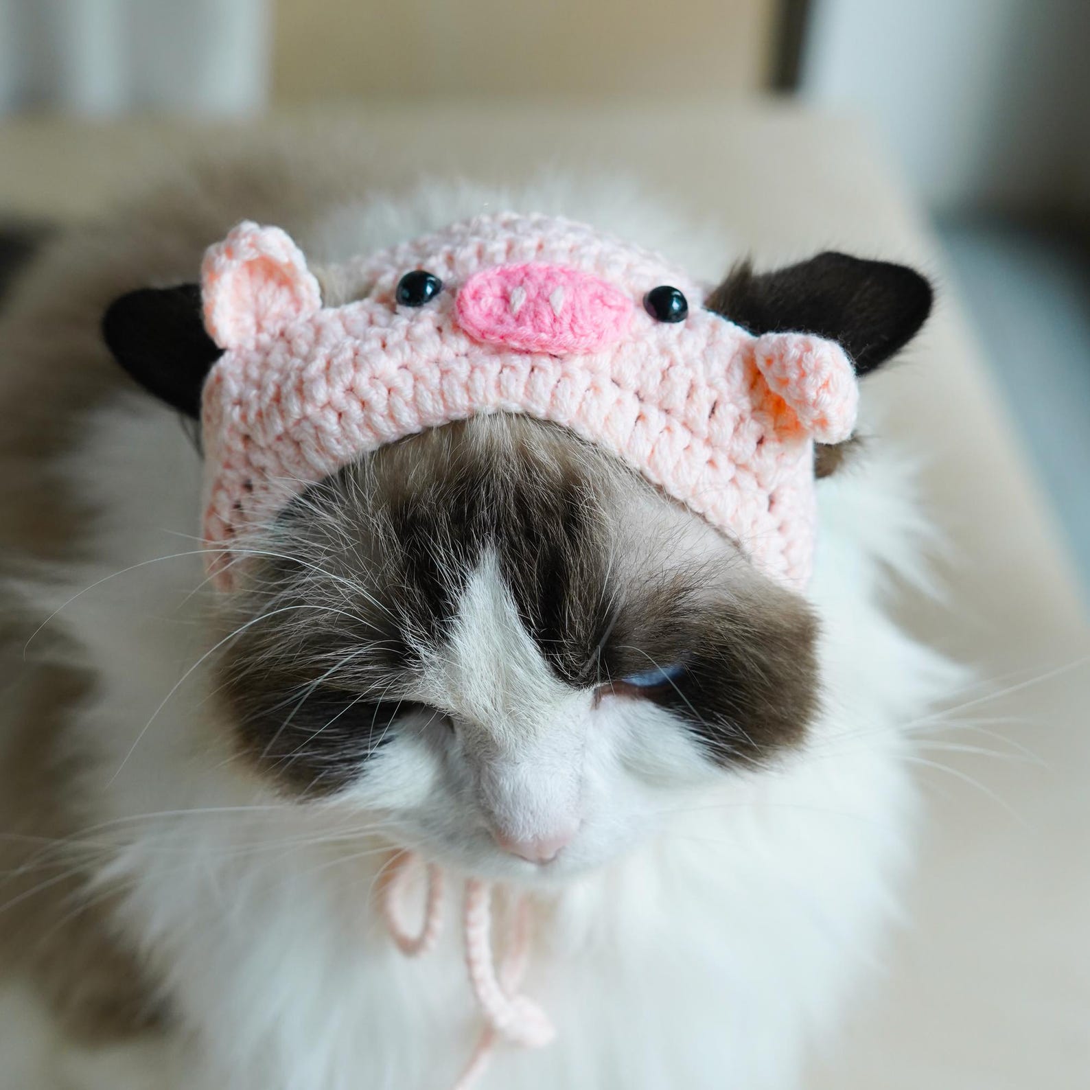 Adorable Crochet Pig Hat for Pets-customizable Handmade Piggy Costume ...