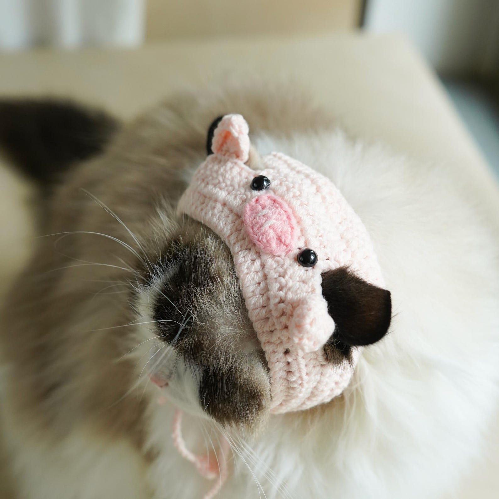Adorable Crochet Pig Hat for Pets-customizable Handmade Piggy Costume ...