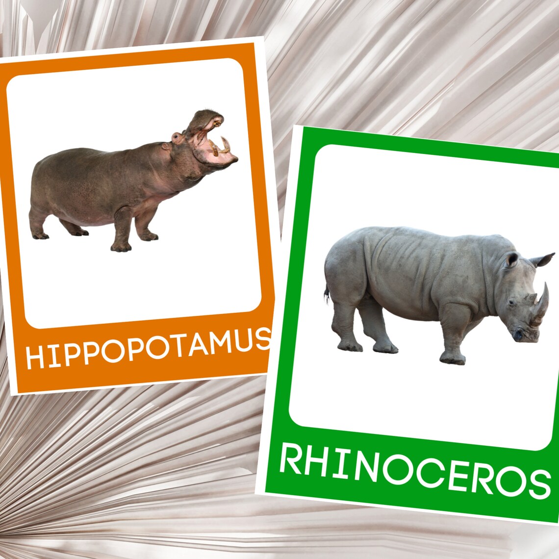 Animal Flash Cards, Pet Farm Animal Flashcards, Zoo Jungle Animals, Sea ...