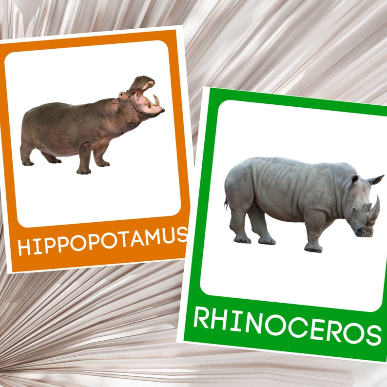 Animal Flash Cards, Pet Farm Animal Flashcards, Zoo Jungle Animals, Sea ...