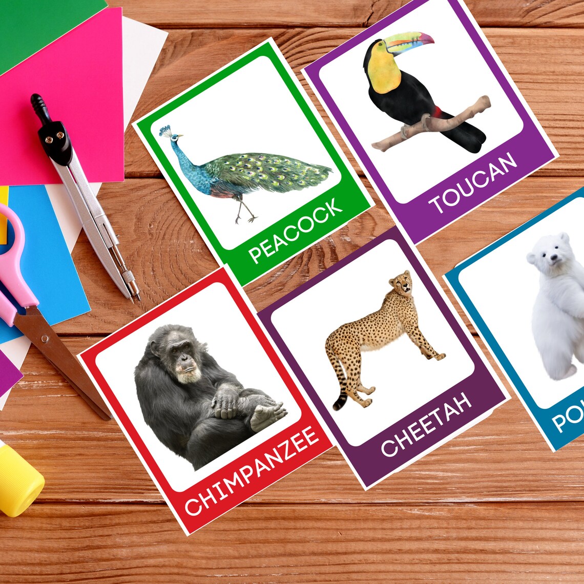 Animal Flash Cards, Pet Farm Animal Flashcards, Zoo Jungle Animals, Sea ...