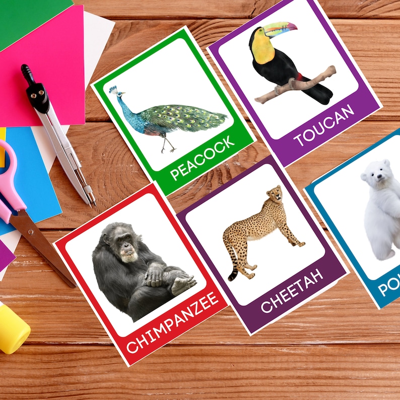 Animal Flash Cards, Pet Farm Animal Flashcards, Zoo Jungle Animals, Sea ...
